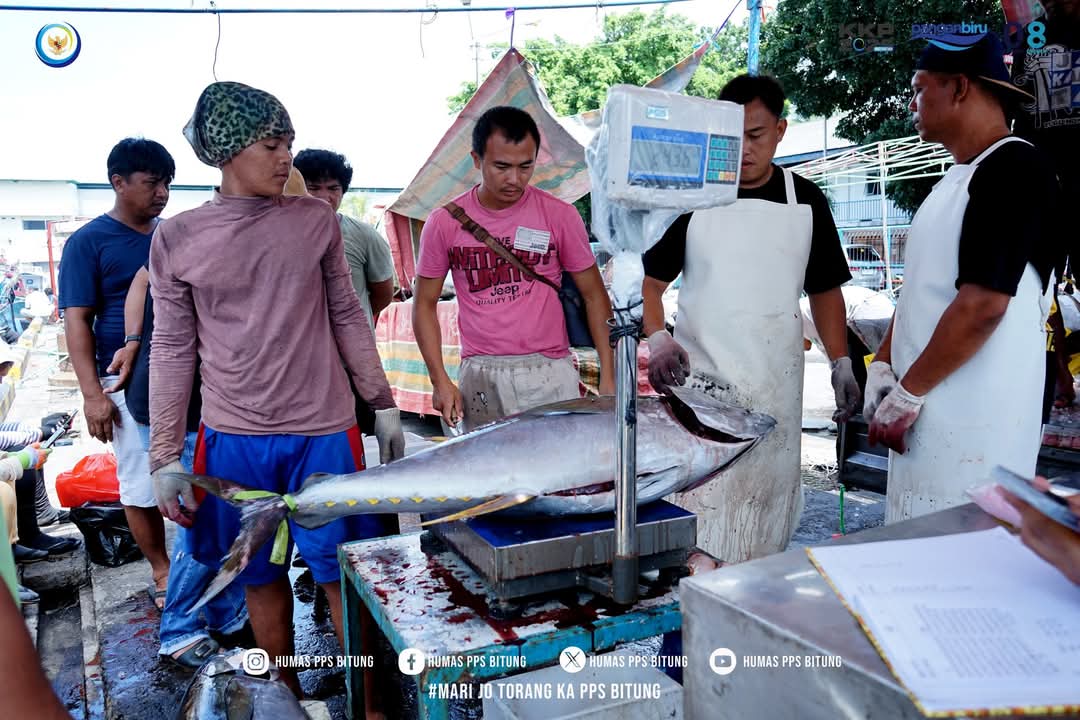 Detail Pelabuhan PPS. Bitung | PIPP - Kementerian Kelautan dan Perikanan