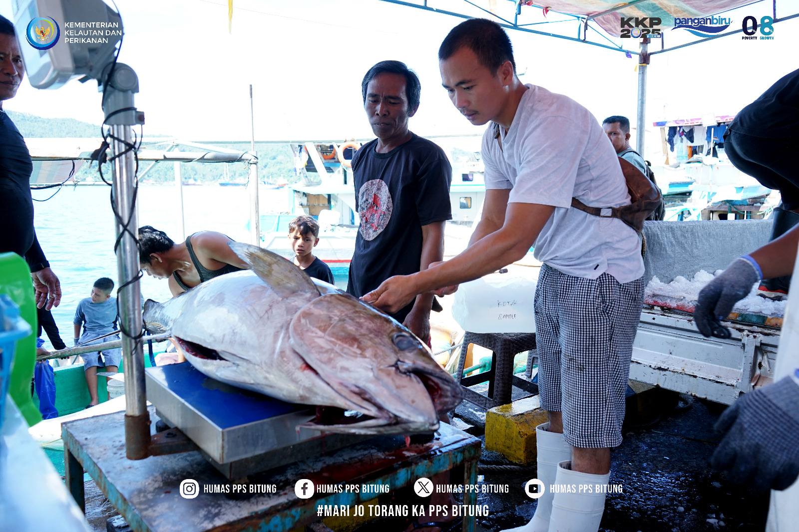 Detail Pelabuhan PPS. Bitung | PIPP - Kementerian Kelautan dan Perikanan